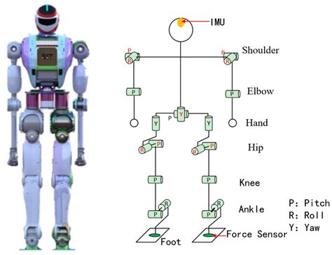 Whole Body Dynamics Based Aerial Fall Trajectory Optimization And