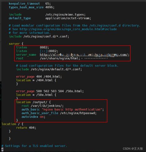 Jenkins改造—nginx配置鉴权jenkins 修改nginx配置文件 Csdn博客