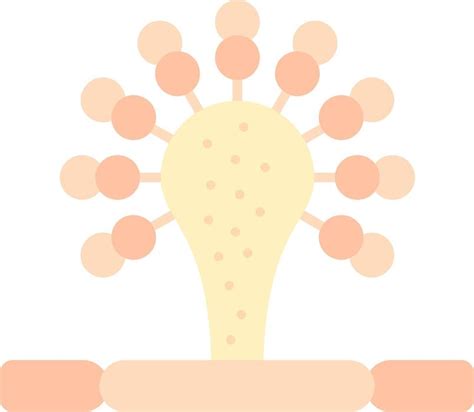 Aspergillus Vector Art Icons And Graphics For Free Download