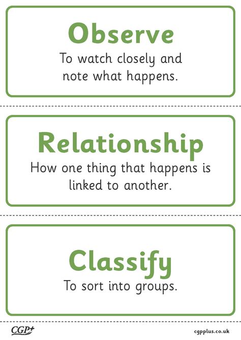 Screen Definition Vocabulary At Mike Fahey Blog