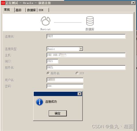Navicat 连接 Oracle 报错：ora 28547：connection To Server Failed，probable Oracle Net Admin Error