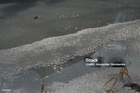 얼어붙은 연못의 은행에 눈과 얼음으로 덮여 돌 옆 노란 잔디 건조 0명에 대한 스톡 사진 및 기타 이미지 0명 겨울 경관 Istock