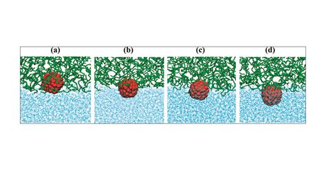 Understanding Nanoparticle Diffusion And Exploring Interfacial