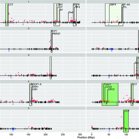 Joint Linkage Qtl And Gwas Of Photoperiod Sensitivity For Thermal Time