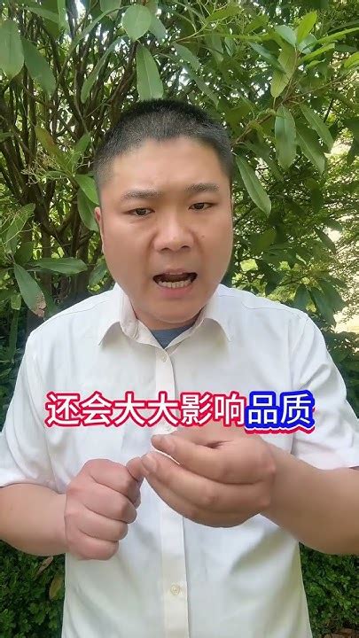 果树种植 果树管理 果树管理技术 果园管理 柑橘种植 Youtube