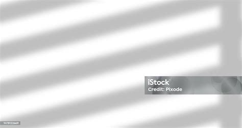 사실적인 흐릿한 자연광 나뭇잎 손바닥 및 창 그림자 오버레이가 벽 종이 또는 프레임 질감 추상 배경 여름 봄 가을에 제품 프레젠테이션 연단 및 모형 계절에 적용됩니다 0명에