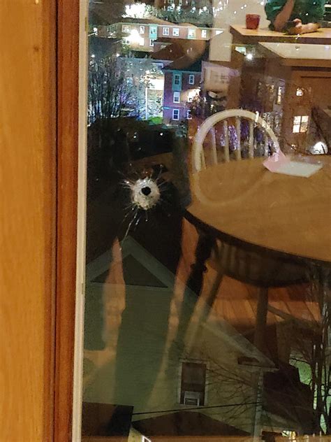 Lisa Gresci On Twitter These Two Were Simply Trying To Heat Up A Burrito In This Microwave