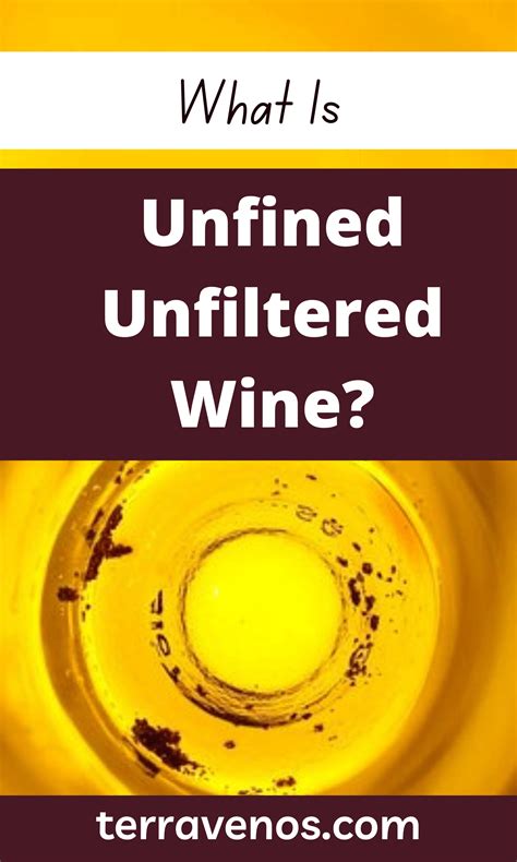 What Is Unfined Unfiltered Wine — Tèr·ra·ve·nos