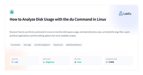 how to analyze disk usage with the du command in linux labex