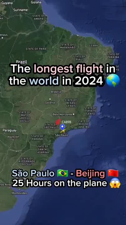 Blockchain People Flight Facts Web3community Sergii Grybniak Ph