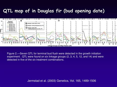 Ppt Reverse Genetics Quantitative Trait Locus Qtl Mapping Association Mapping Powerpoint