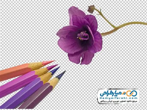 دانلود عکس Png مداد رنگی و گل 05312843