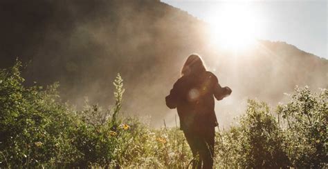 Functional Testing Functional Wellness