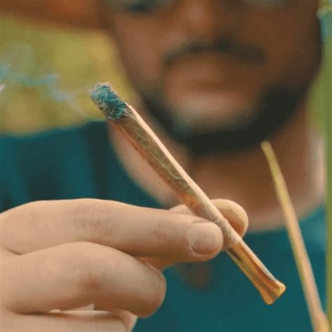 Dada Yute S Find And Share On Giphy