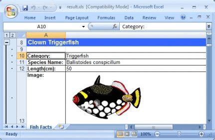 Tms Flexcel Studio For Vcl Download Free Trial