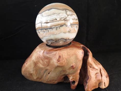 Fossil Displays For Sale