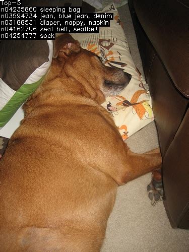 7 量化与量化调优 — Tpu Mlir 110 文档