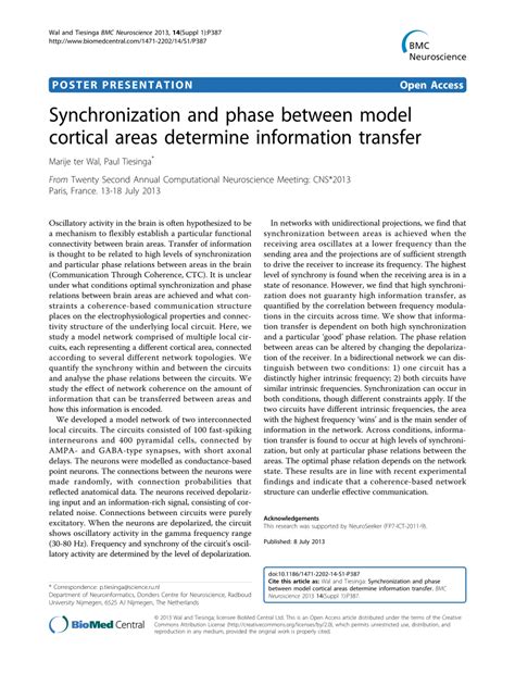 Pdf Synchronization And Phase Between Model Cortical Areas Determine