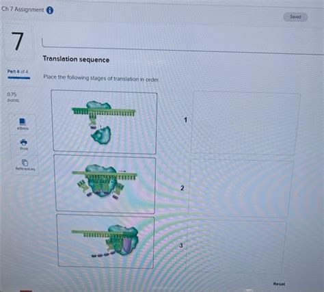 Solved Translation Sequence