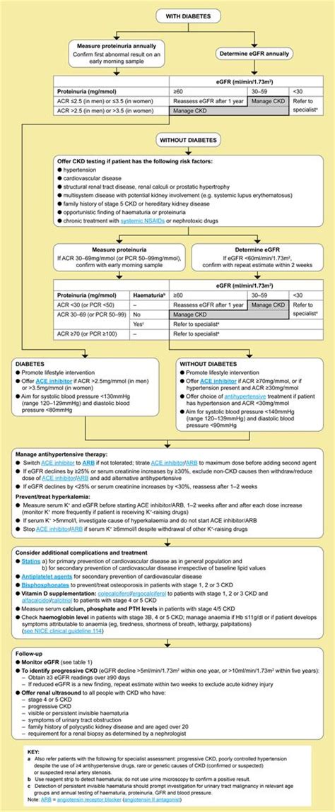 Early Identification And Management Of Chronic Kidney Disease In Adults NICE Guideline MIMS