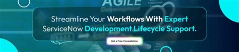 Servicenow Development Lifecycle An Ultimate Guide In 2025 Servicenow Development Lifecycle An Ultimate Guide In 2025