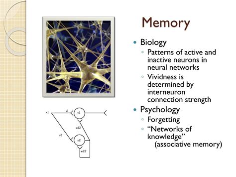 Ppt Computational Modeling Of Neural Networks And Memory Simulation Powerpoint Presentation