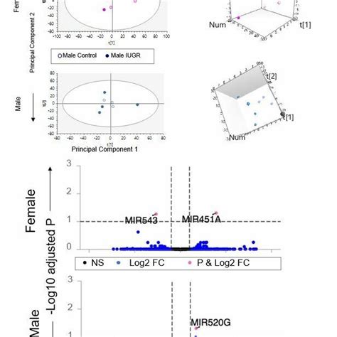Sex Specic Mirna Sample Clustering And Differential Expression In
