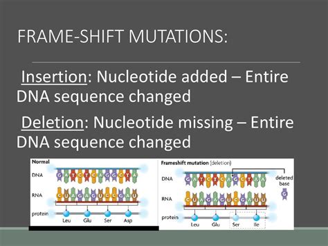 Welcome To Genetic Mutations Ppt Download