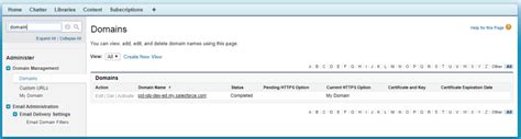 Step By Step Guide To Implement Salesforce Sso With Oauth