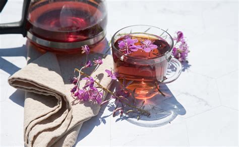 발효 된 Kipreya잎의 허브 차는 가벼운 배경에 유리 컵에 나뭇잎 차와 주전자 옆에 서있다 전통적인 러시아 코포르 차 이반 차 수평 배열 공간 사본장소 0명에 대한 스톡