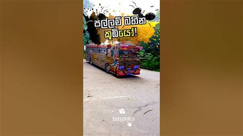 කූඹියෝ බස් එකට ආස අයට 😉 Bus Buslover Ashokleyland Busdriving Srilanka Koombiyo Transport