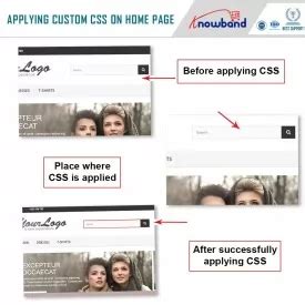 Prestashop Custom JS And CSS Addons Knowband
