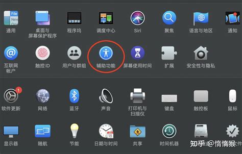 MacOS10终端Siri等声音功能的使用和调整 知乎