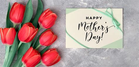 해피 어머니의 날 회색 질감 배경에 빨간 튤립과 종이 카드 현대적인 파노라마 상단 보기 종이 인사말 카드와 신선한 꽃자연 디자인으로 평평한 누워 0명에 대한 스톡 사진 및