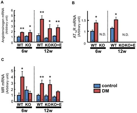 Expression Of Mrnas For Angiotensinogen A Angiotensin Ii Type1a