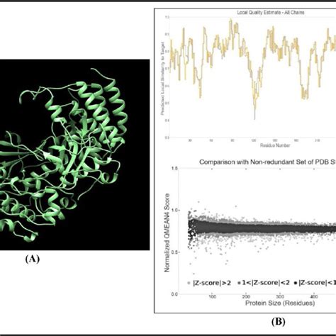 Demonstrates Multi Epitope Vaccine Design 3d Modeling Refining And