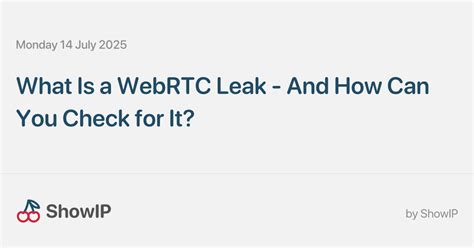 What Is A Webrtc Leak And How Can You Check For It • Showip