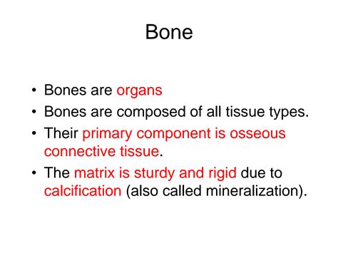 SOLUTION Chapter 3 Skeletal System General Anatomy For Medical Babes Studypool