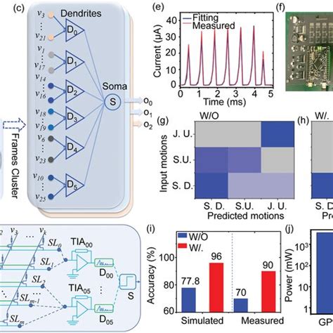 Performance Evaluation Of The Constructed Dendritic Neural Network A Download Scientific