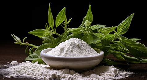 Effects Of Andrographolide