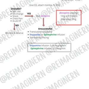 ACLS Cardiac Arrest Tachycardia Bradycardia Algorithms Etsy