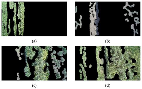 Sustainability Free Full Text A New Procedure For Combining Uav Based Imagery And Machine