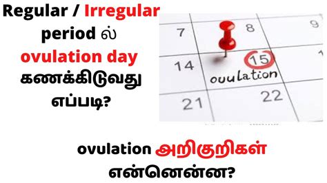 How To Find Ovulation Day In Tamil Find Irregular Period Ovulation Day