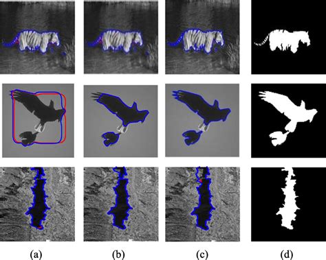 Comparative Results Of Dual Active Contours Model A Reg Dacm B Download Scientific
