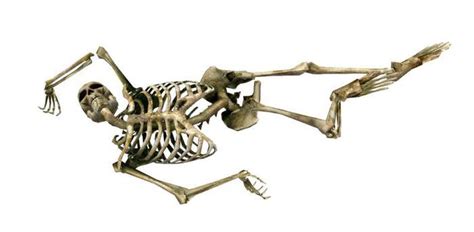 Second Life Marketplace Mesh Skeleton Lying Copy Version