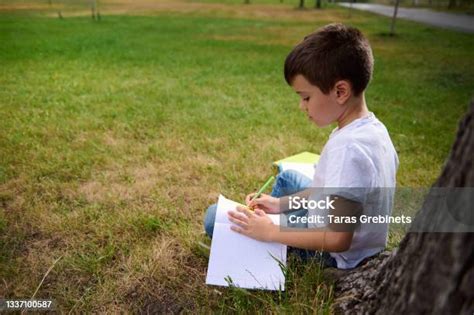 펜을 들고 숙제를하고 복사서에 글을 쓰고 수학 작업을 해결하고 공원의 녹색 잔디에 앉아 있는 영리한 남학생 학교 지식 과학 교육 학습 개념으로 돌아갑니다 8 9 살에 대한