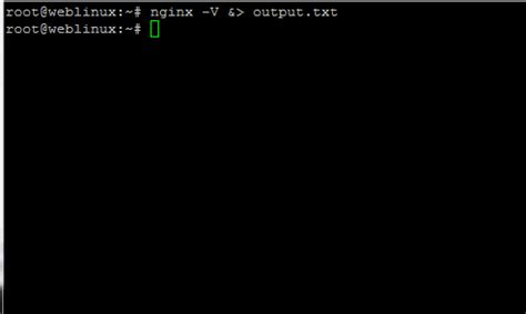 Linux Redirected Output Not Showing In File Virtualization Howto