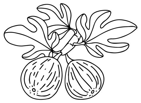 أكثر من ٢٠ صفحة تلوين تين ملفات Pdf قابلة للطباعة مجانًا أو تلوين عبر