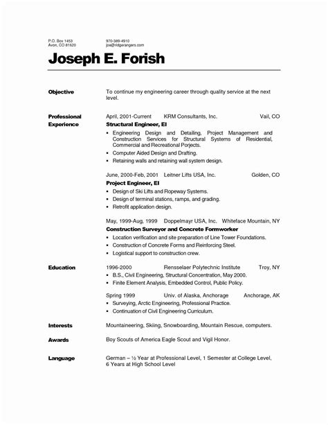 Professional Profile Resume Example Sample Profile For Resumes Free