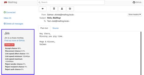 Mailhog How To Use It To Test Emails Locally